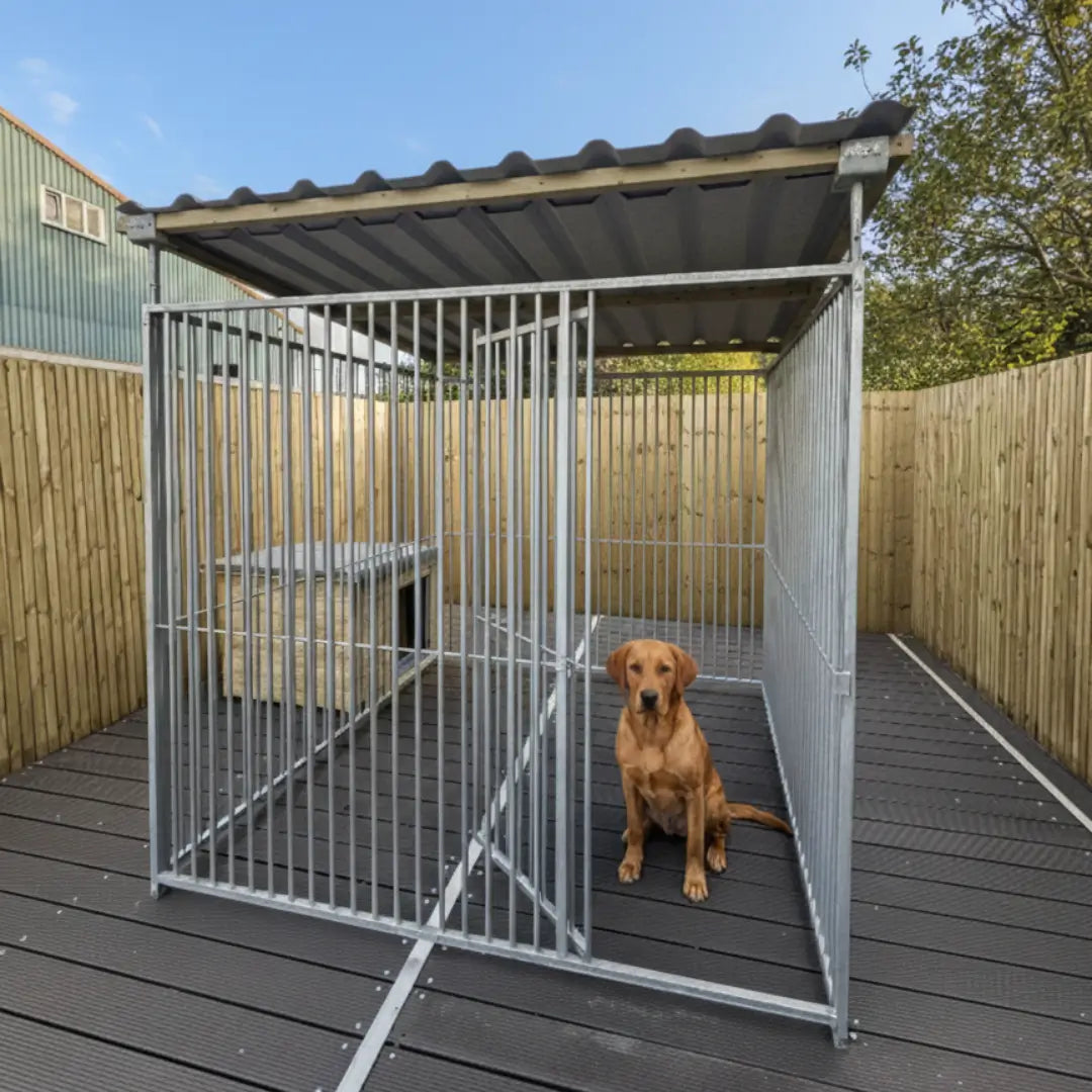Heavy-Duty Dog Cage Panels | Secure Outdoor Runs | Benchmark Kennels
